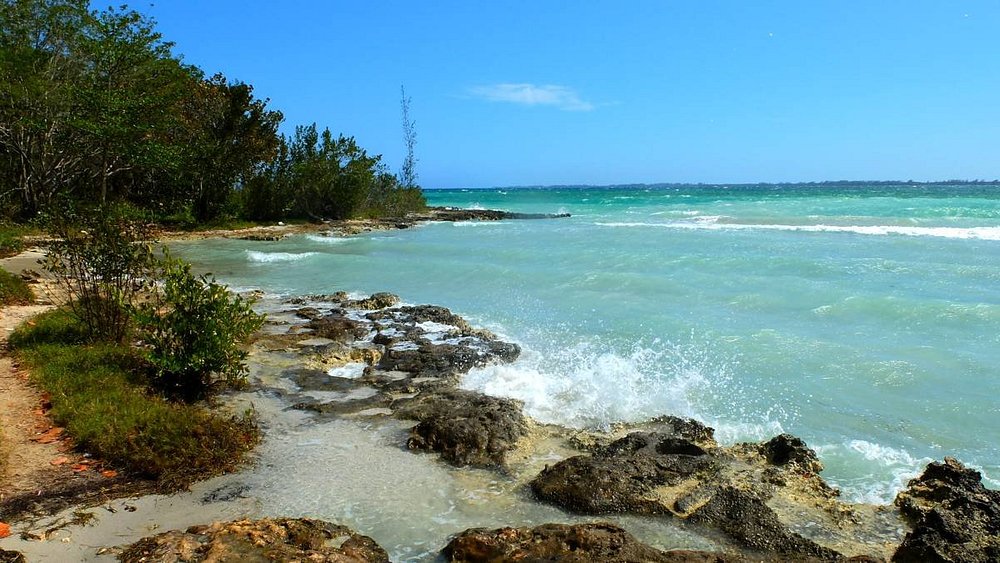 Excursión a Playa Larga y Cienaga de Zapata - NEXUS-GO-GROUP